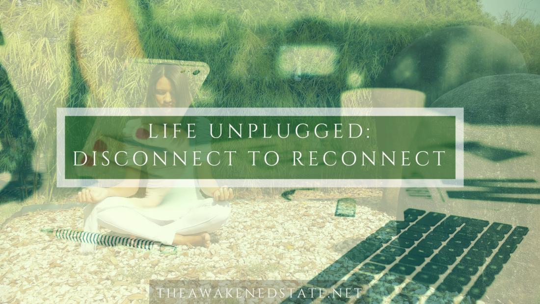 Life Unplugged: Disconnect to Reconnect • The Awakened State